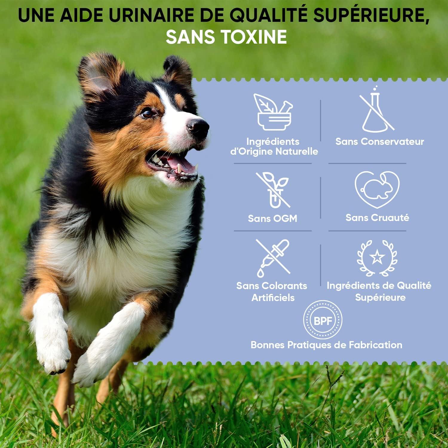 Urinary Aid for Dogs Relief from Urinary Discomfort Synergy with ...