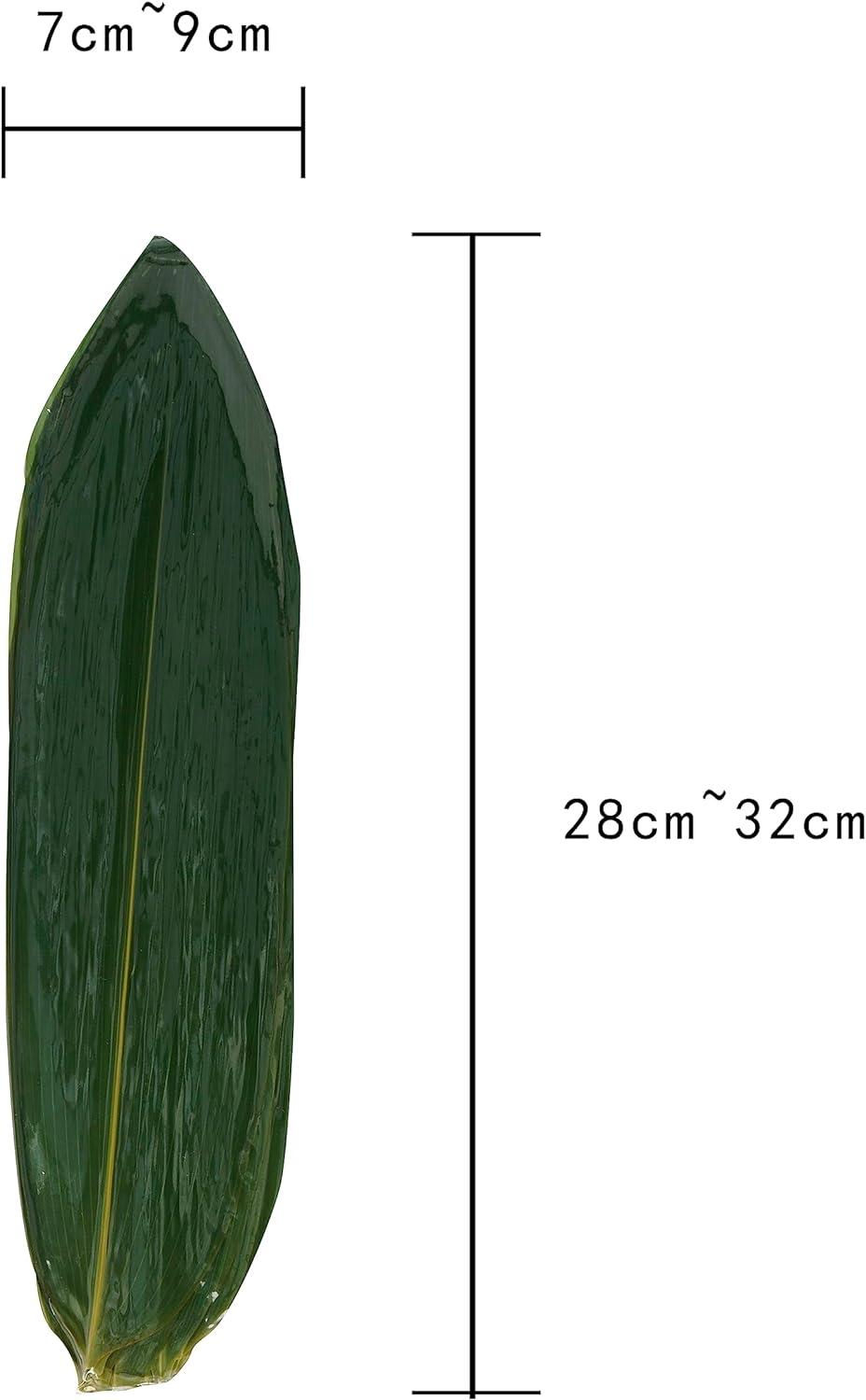 Bamboo Leaves | 28-32 cm | Zongzi | Sasanoha | Food Decoration | Buy ...