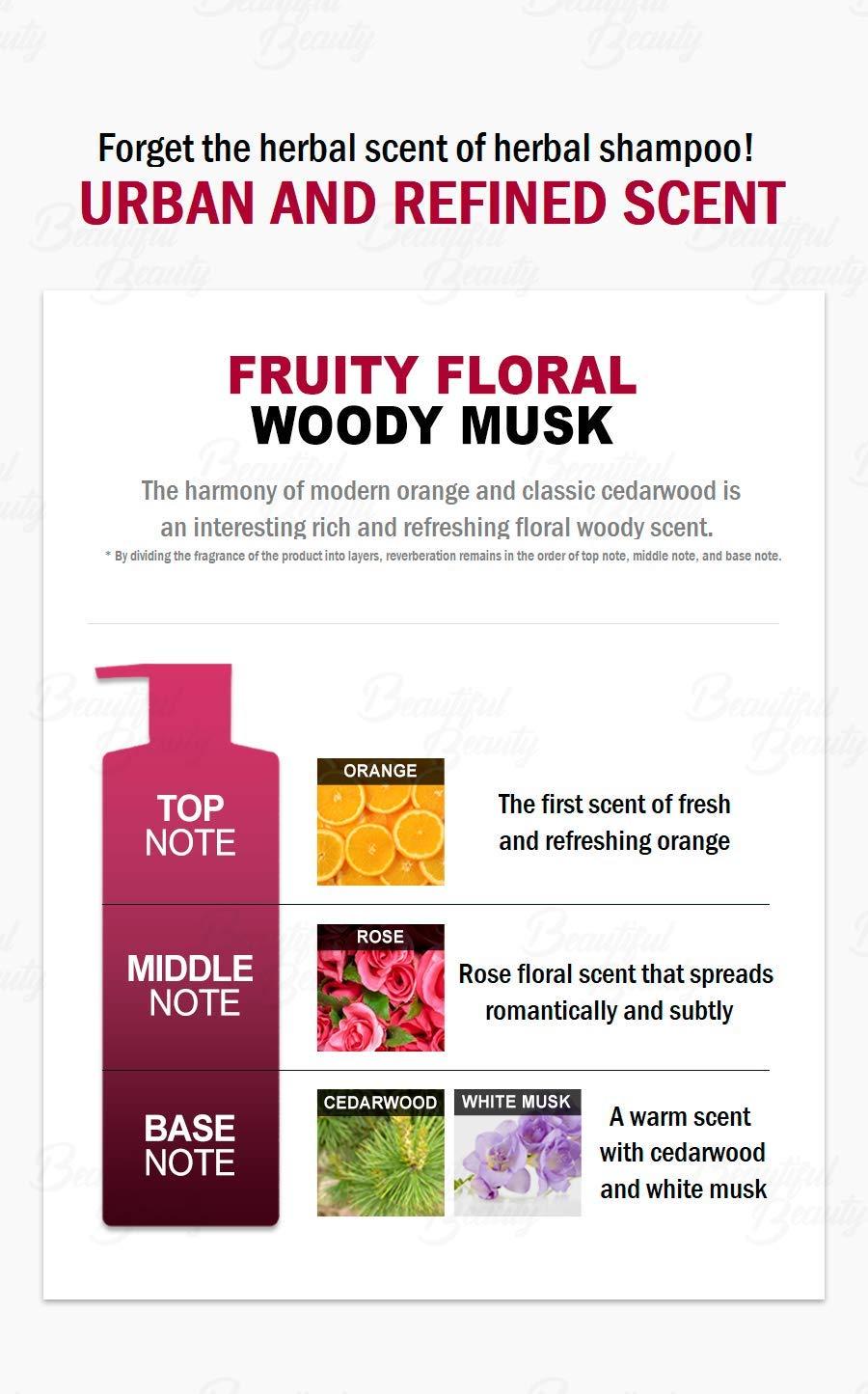 RGIII Hair Loss Clinic Shampoo - Panax Ginseng Extract for Hair Loss ...