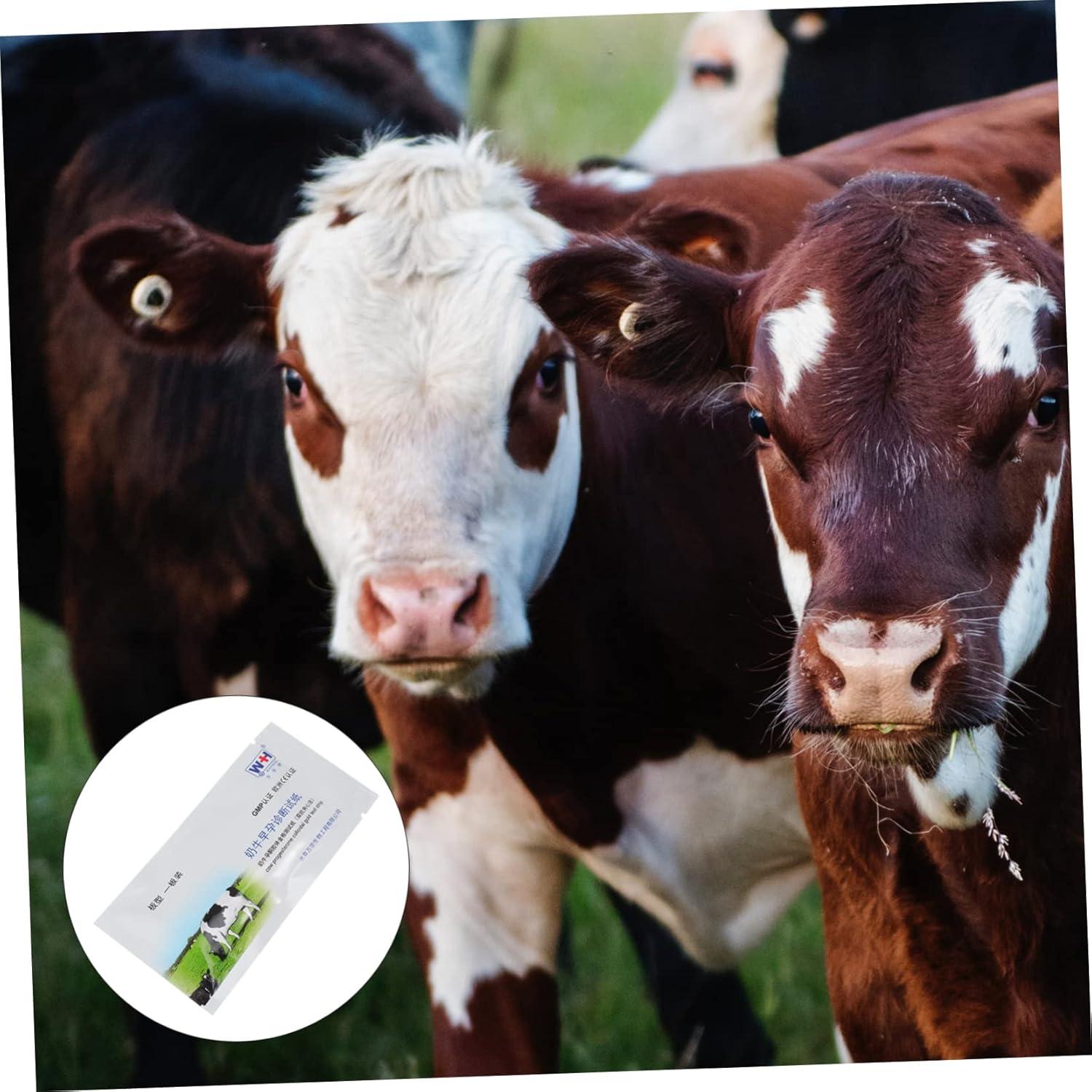Minkissy 3-Pack Pregnancy Test Strips for Cattle | Colloidal ...