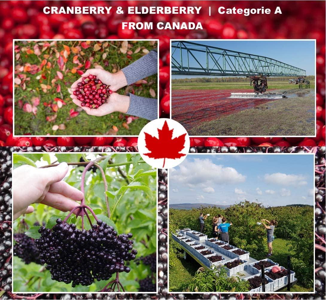 Immunia Cranberry & Elderberry Concentrate - Natural Urinary Health ...