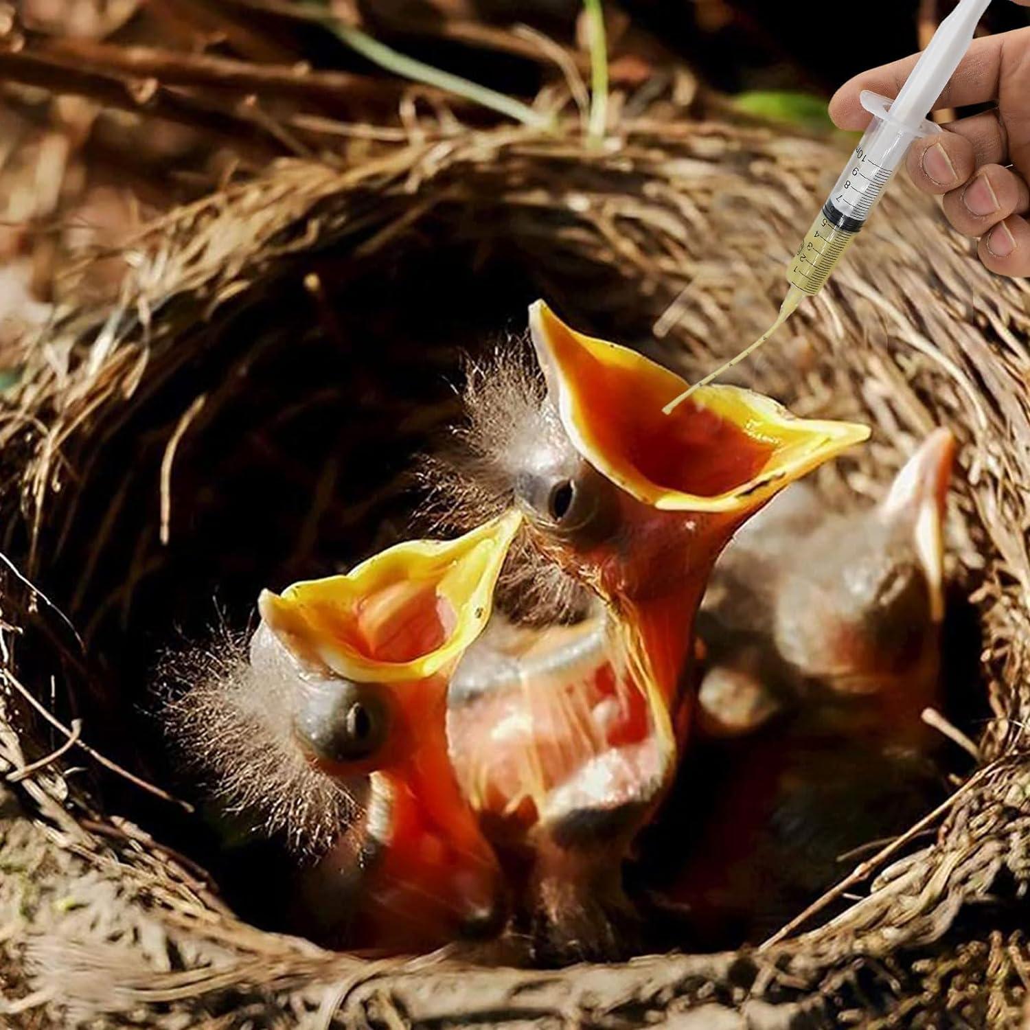 Baby Bird Parrot Feeding Syringe Set - 8 Pieces Gavage Tubes & Hand ...