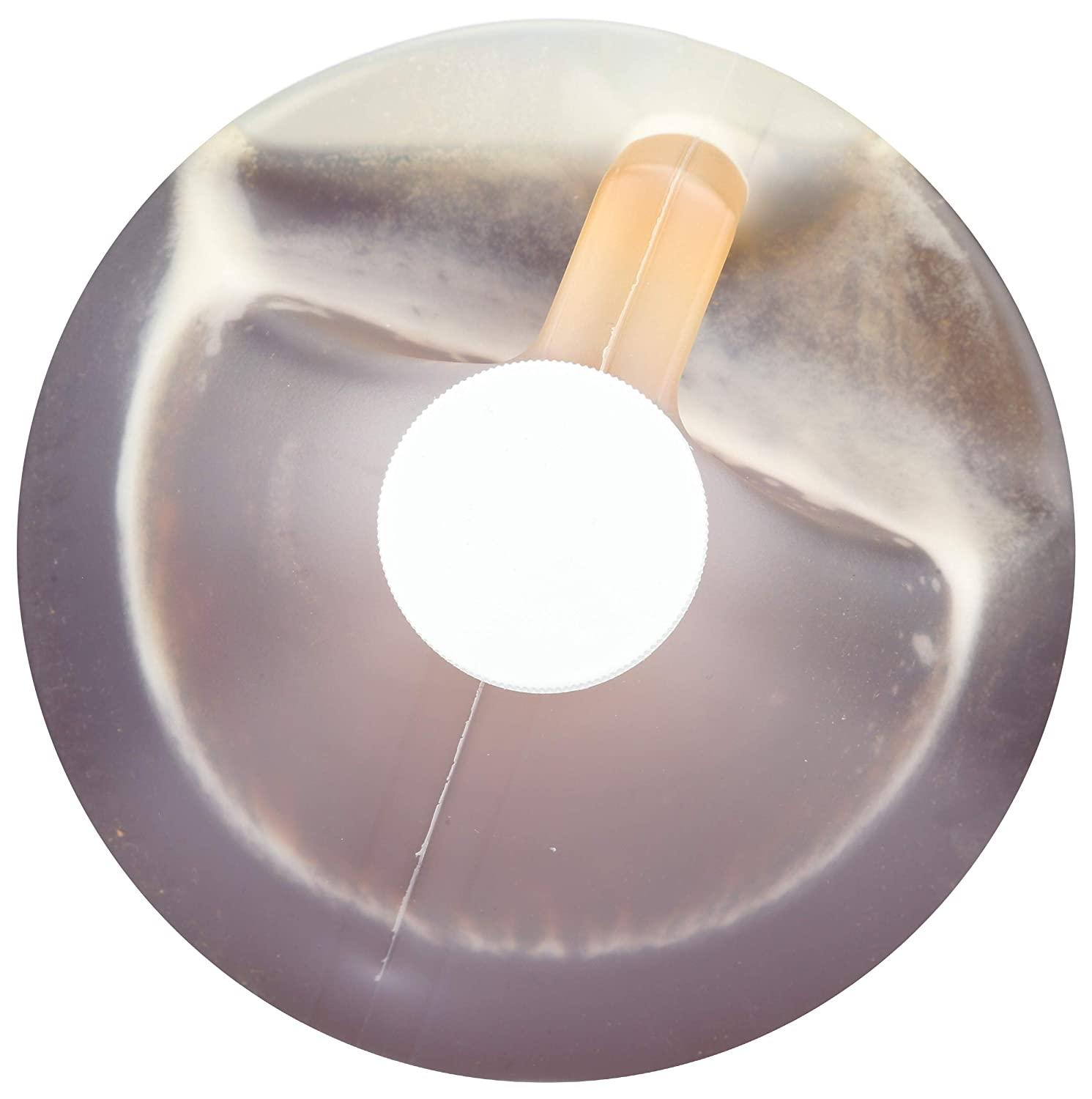 Wholesome Sweeteners Organic Blue Agave 176oz - 1 Case (1 Gallon) | Buy ...