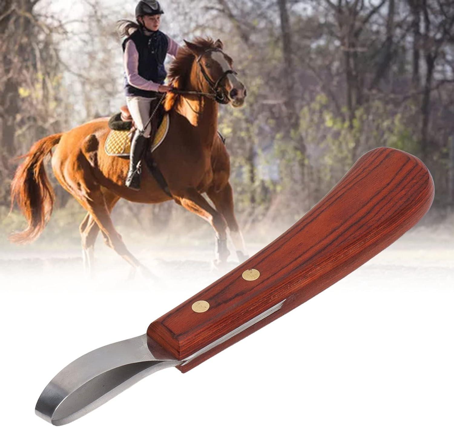 Arsor Double-Edged Hoof Knife | Wooden Handle Farrier Tool for Equine ...