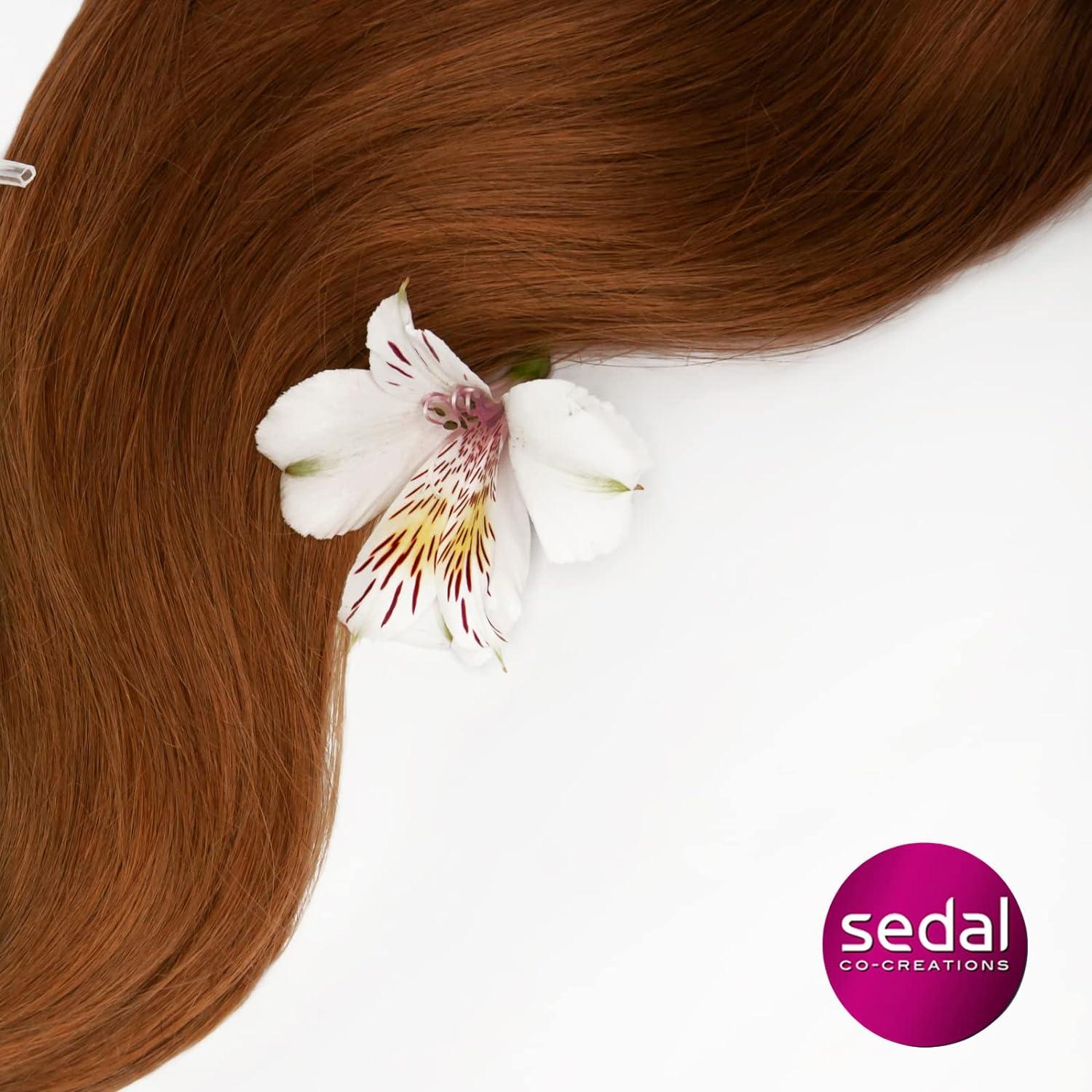 Sedal Co-Creations Conditioner Ceramides 2-Pack - Repairs & Strengthens ...