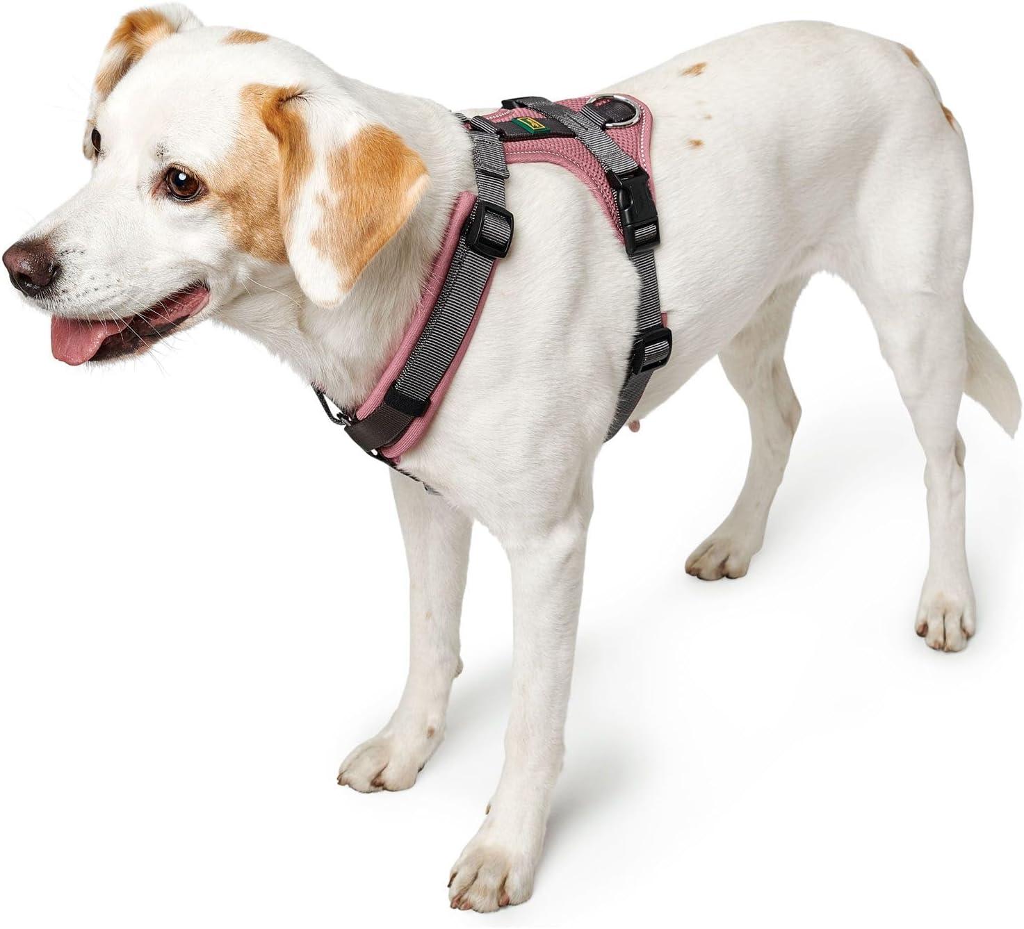 Buy Hunter Harness Maldon Up XS - Old Pink/Grey | International ...