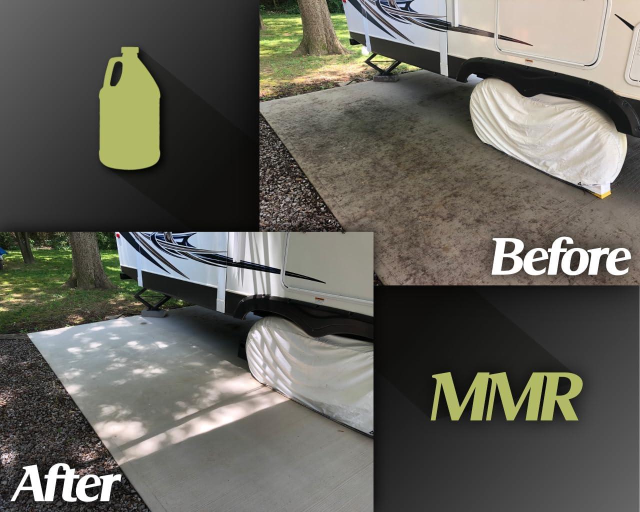 Buy Bad Axe MMR Instant Mold & Mildew Stain Remover - Professional ...
