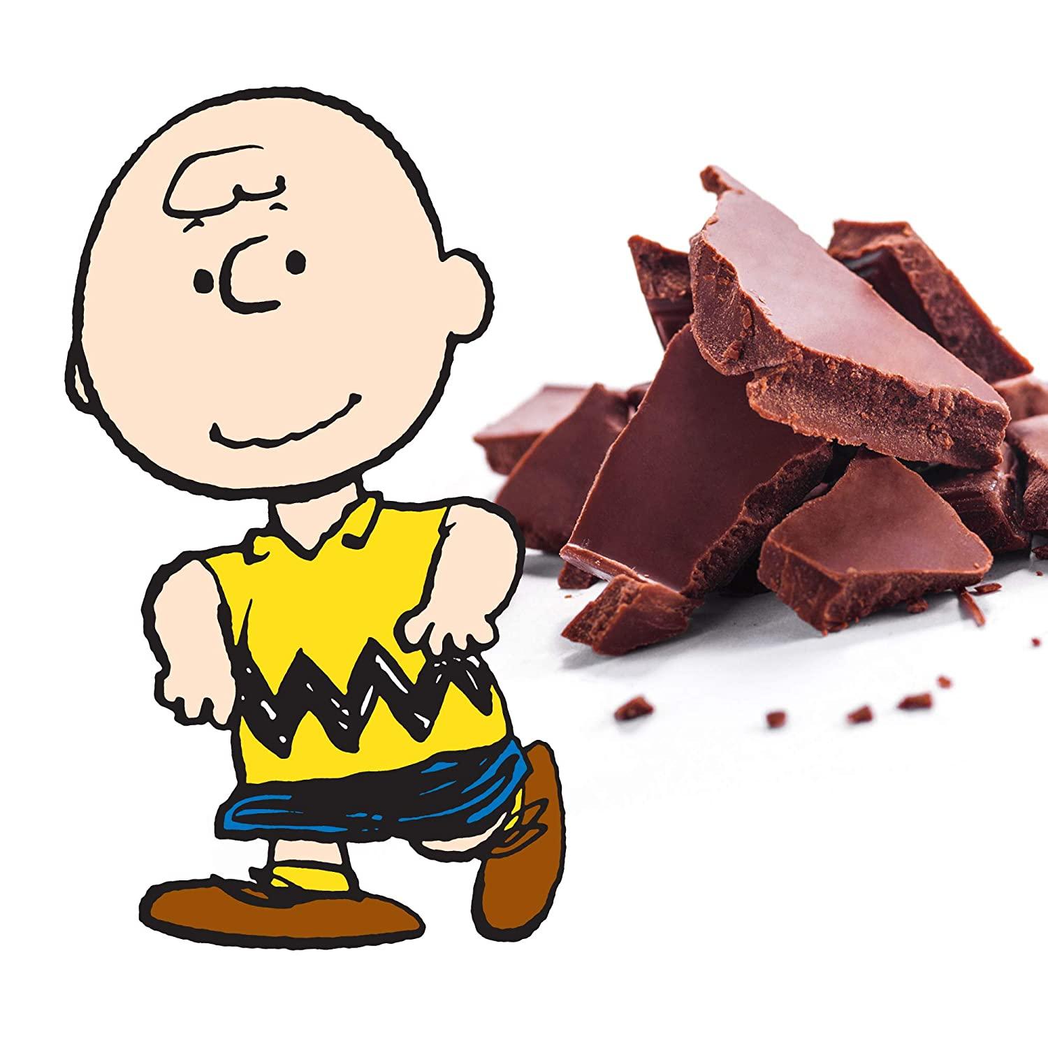 Peanuts Chocolate Thanksgiving Variety Gift Pack - Snoopy Gourmet Bar ...