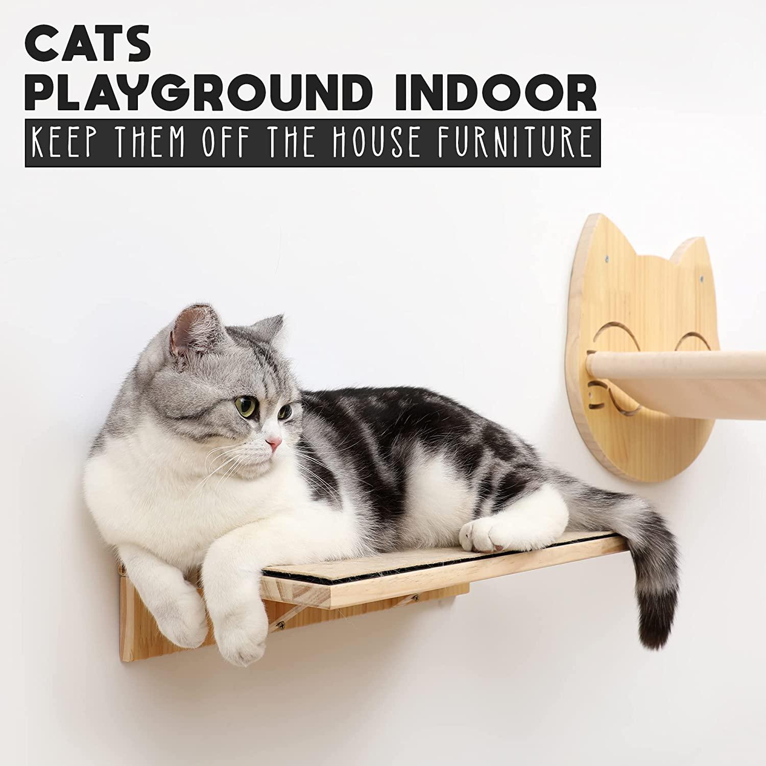 cat climbing set