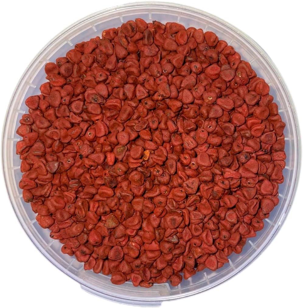 Whole Annatto Seeds (Achiote) - 50g | Buy Now with Express ...