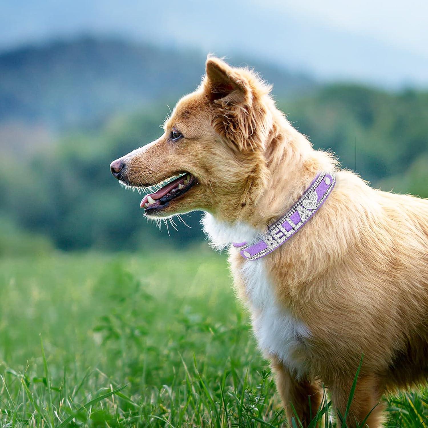 Senristar Personalized Bling Rhinestone Dog Collar - Custom Glitter ...