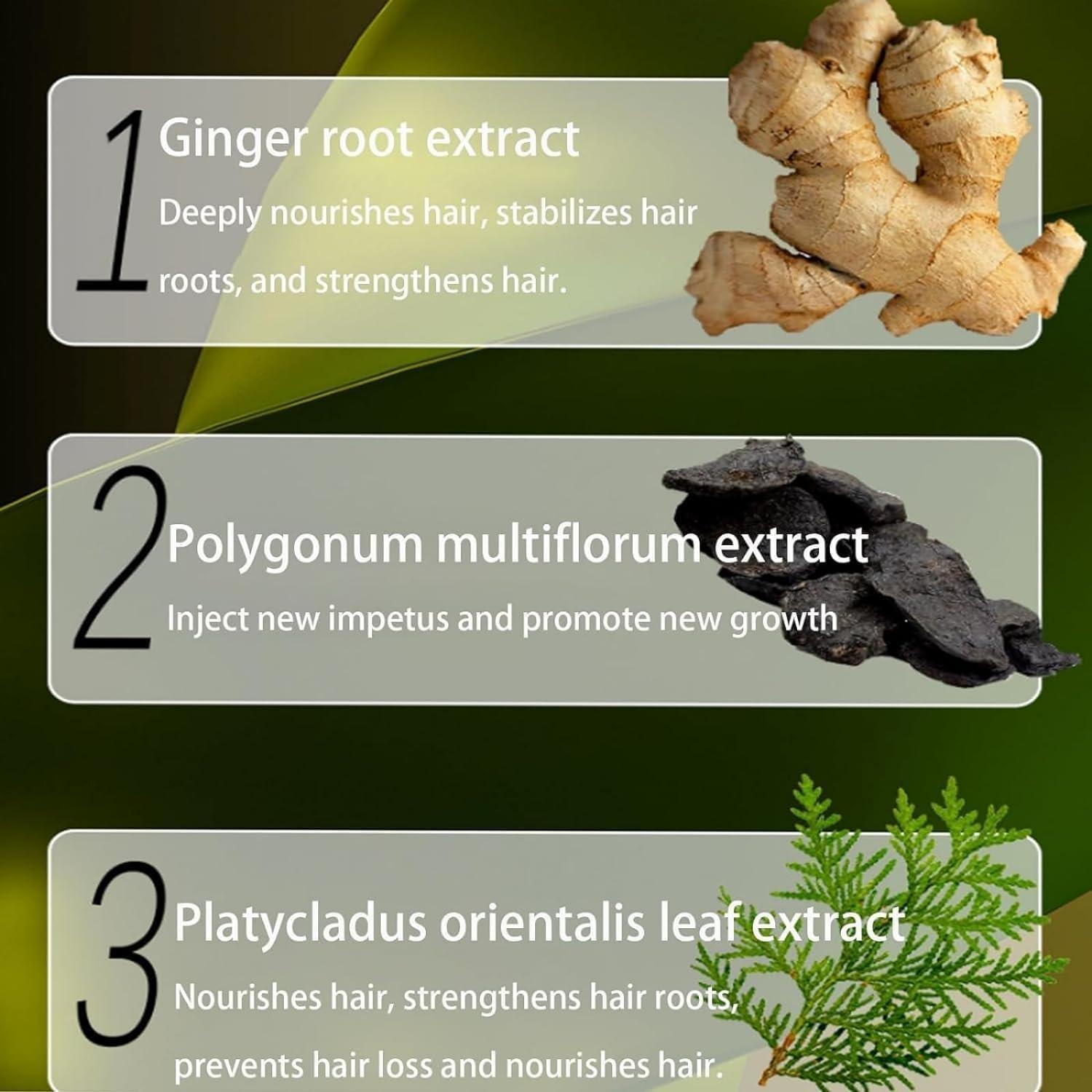 Anti-Hair Loss Shampoo with Ginger Plant Extract 240ml Japanese Ginger ...