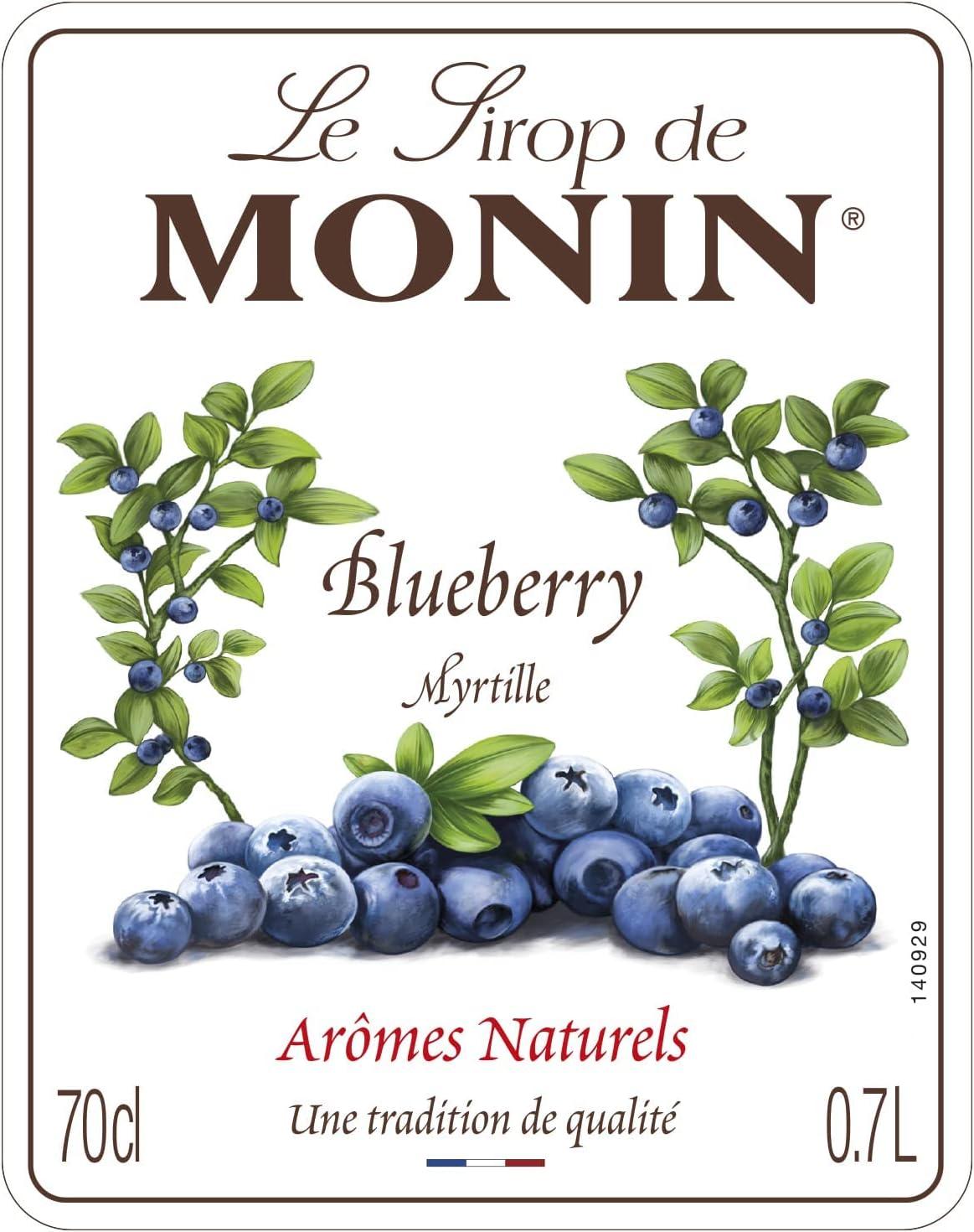 MONIN Premium Blueberry Syrup 700ml - Cocktail & Mocktail Mixer | Vegan ...