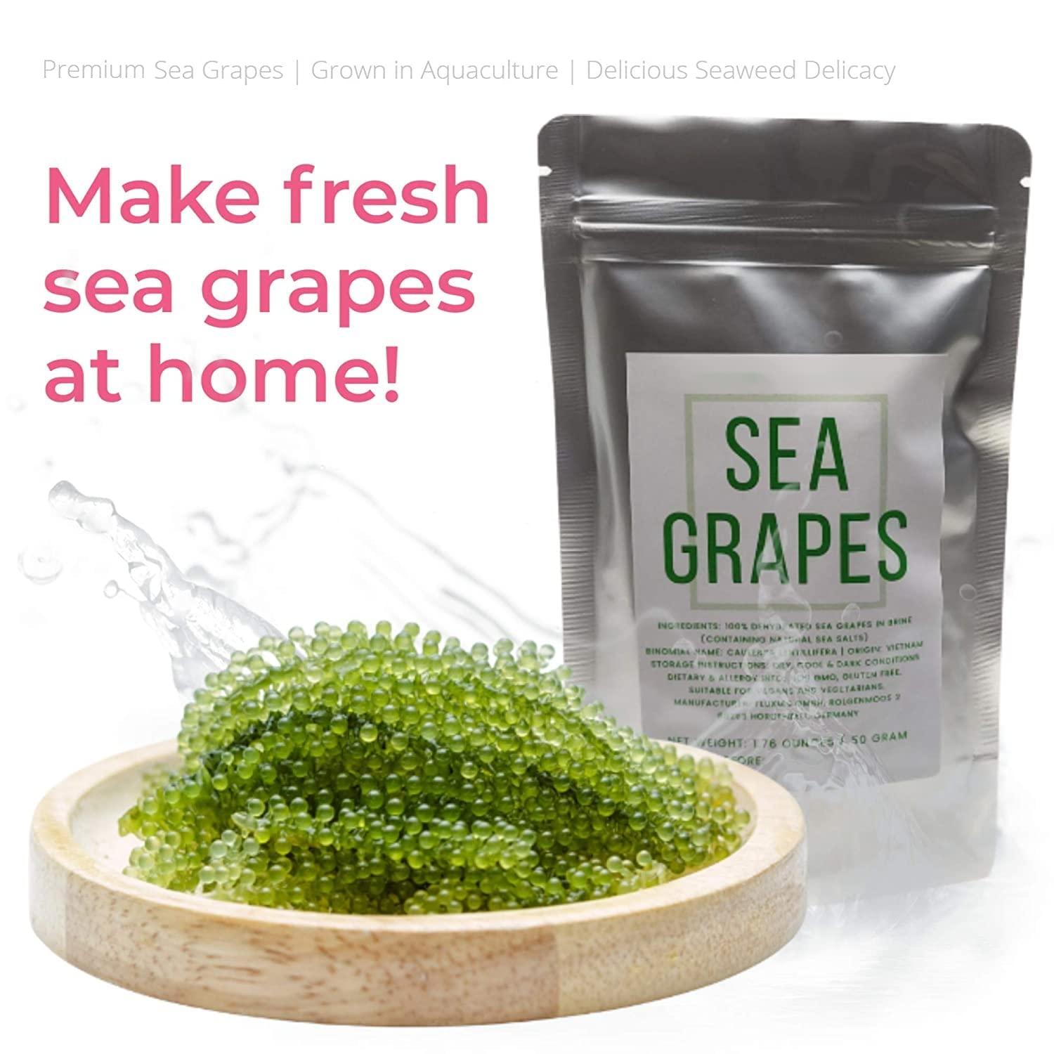 Umibudo Sea Grapes - Delectable Green Caviar Seaweed, 1.76oz/50g ...