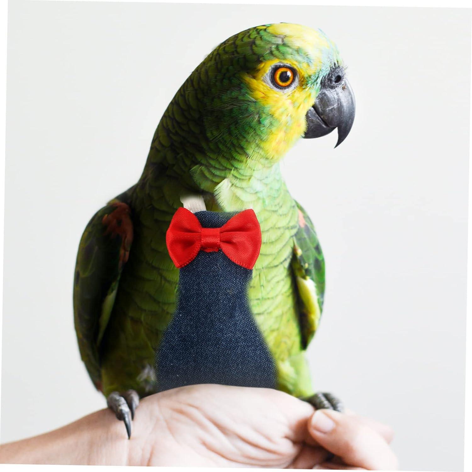 FRCOLOR flying bird diapers pigeon diaper dove diaper pants parrot ...