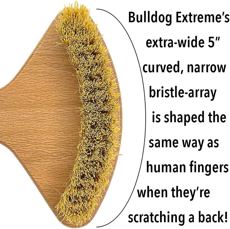 The Bulldog Extreme Back Scratcher - Extra-Stiff Bristles for Serious ...