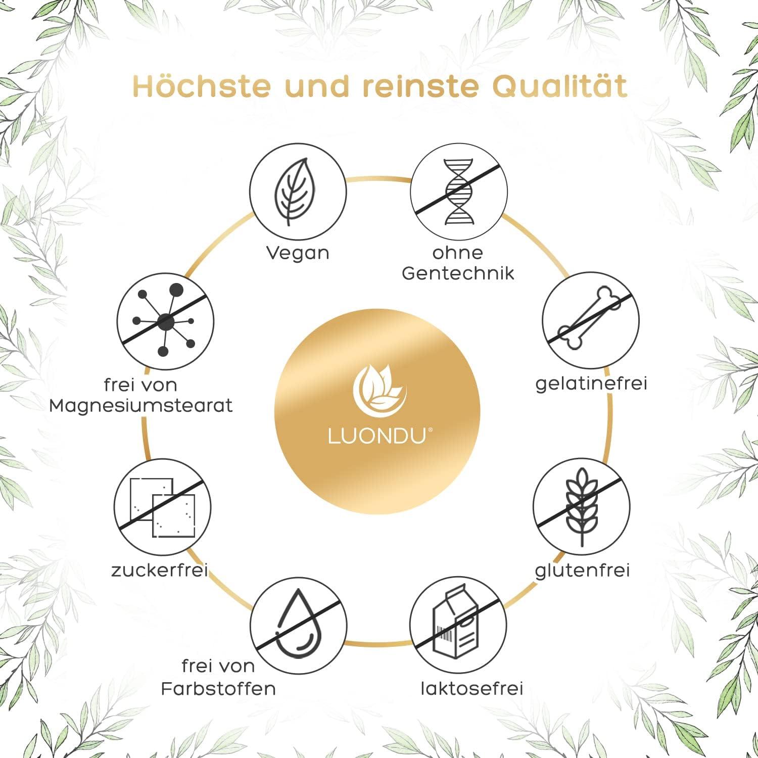 Hyaluron Capsules 500mg - High Dose Vegan Hyaluronic Acid with Vitamin ...