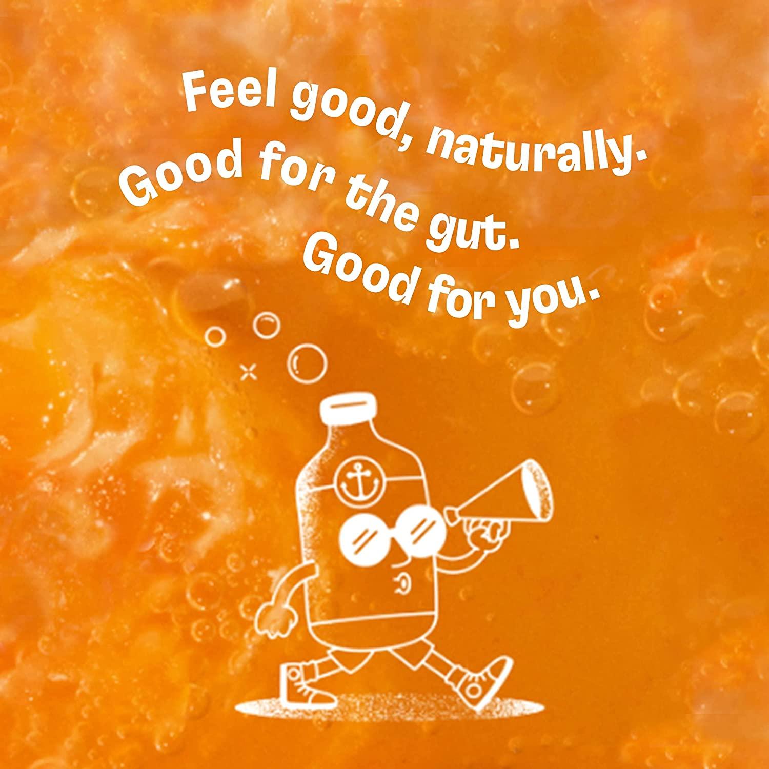 Organic Health-Ade Kombucha Tea - 6 Pack Sampler | Living Probiotics ...