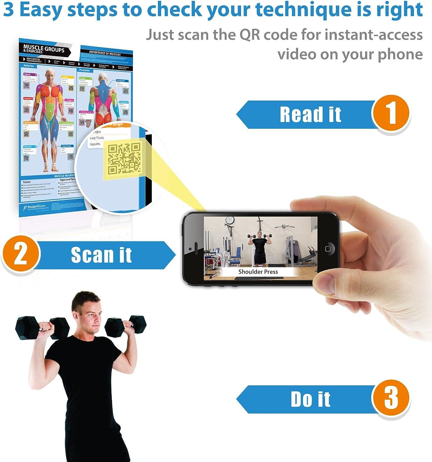 MUSCLE GROUPS & EXERCISES Poster | Anterior & Posterior Muscles ...
