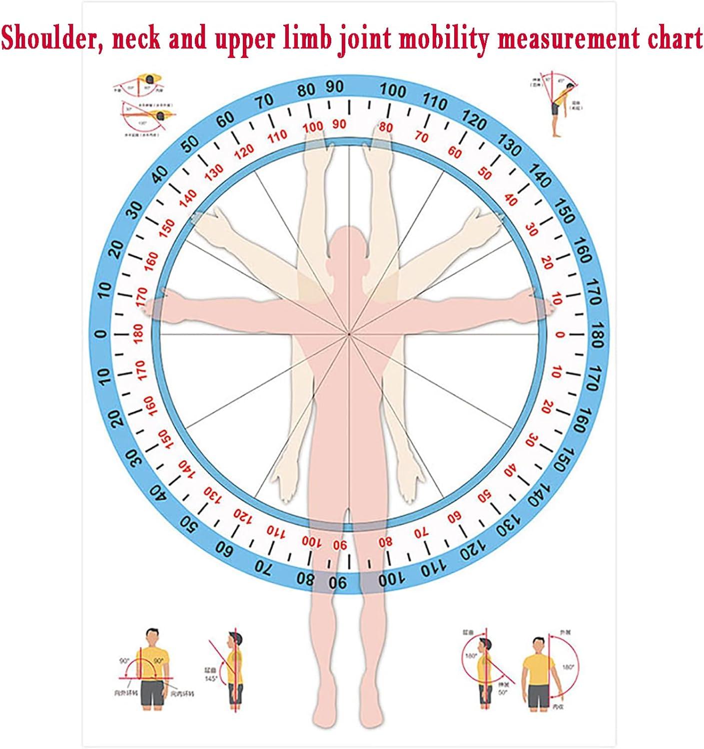 STMKB Orthopedic Goniometer for Joint Mobility Measurement | Accurate ...