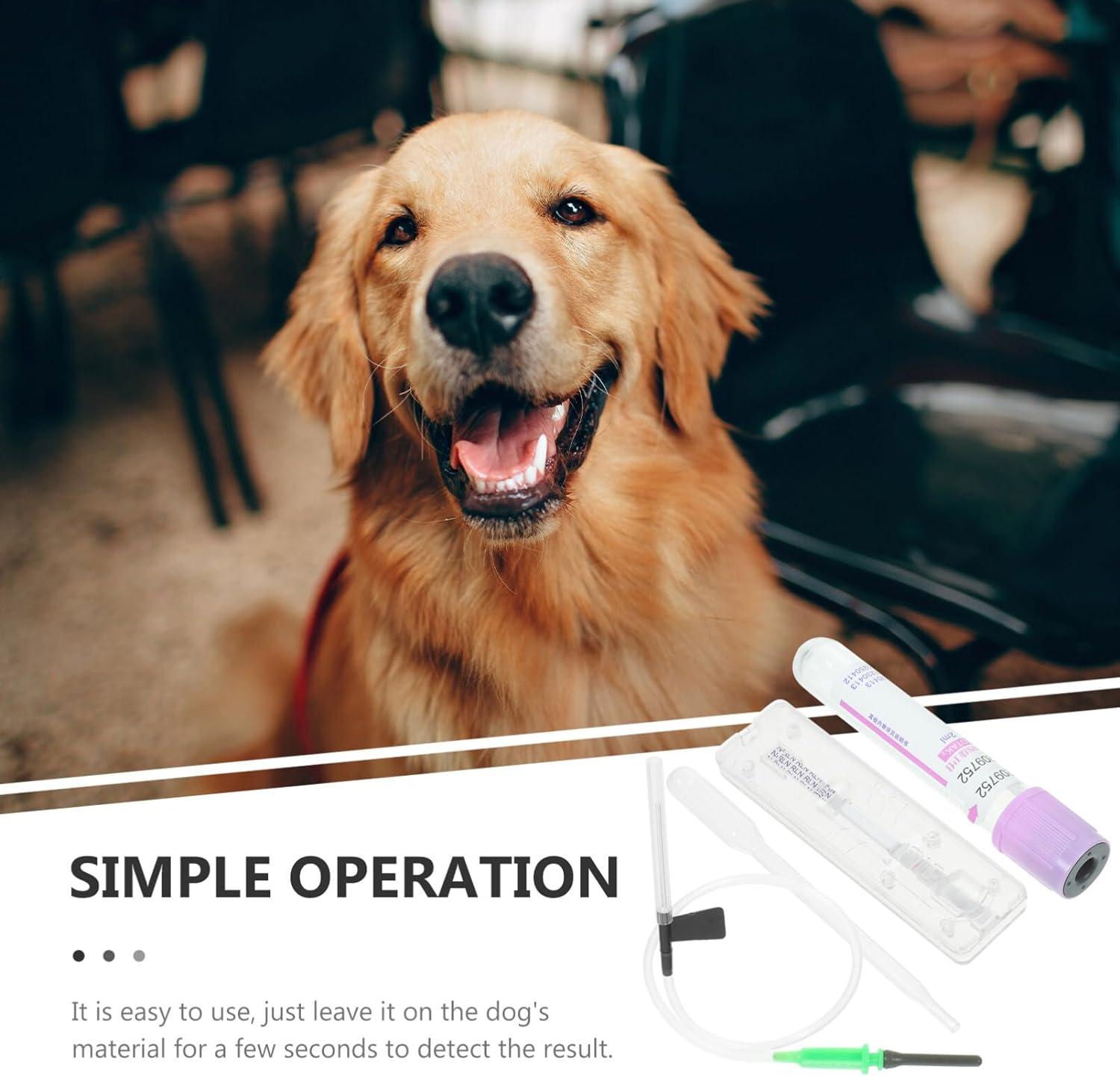 Yardwe Dog Pregnancy Test Kit | Rapid Relaxin Canine Pregnancy Test ...