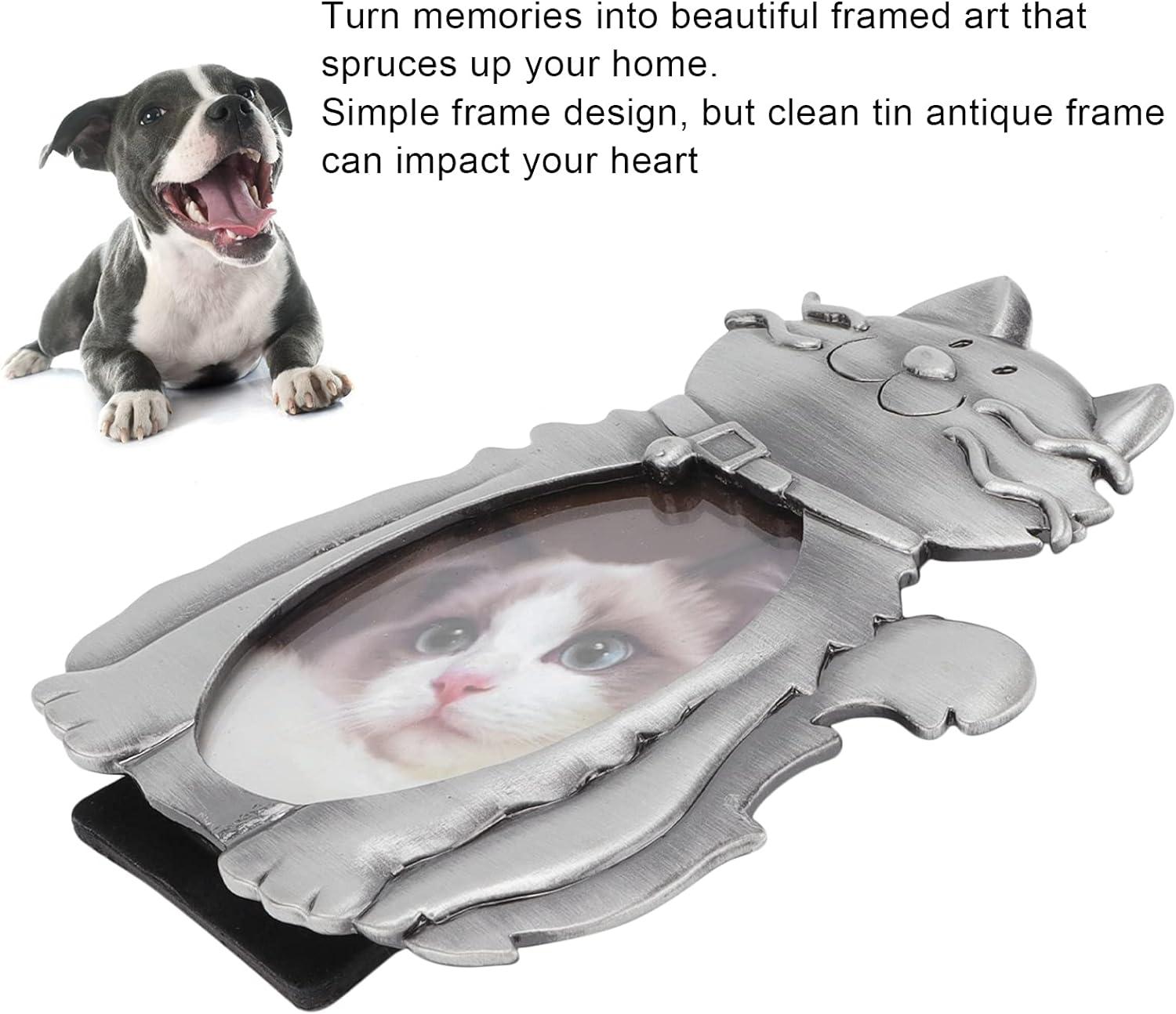 cat frames per second