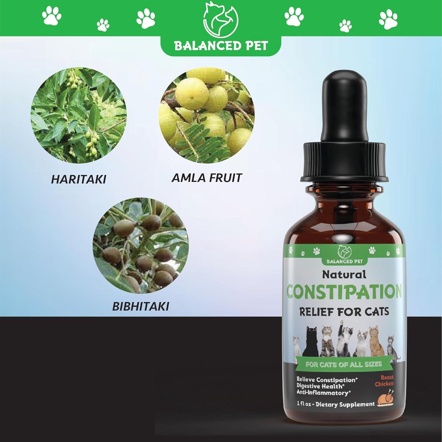Natural Cat Constipation Relief - Chicken Flavor Laxative for Cats | 1 ...