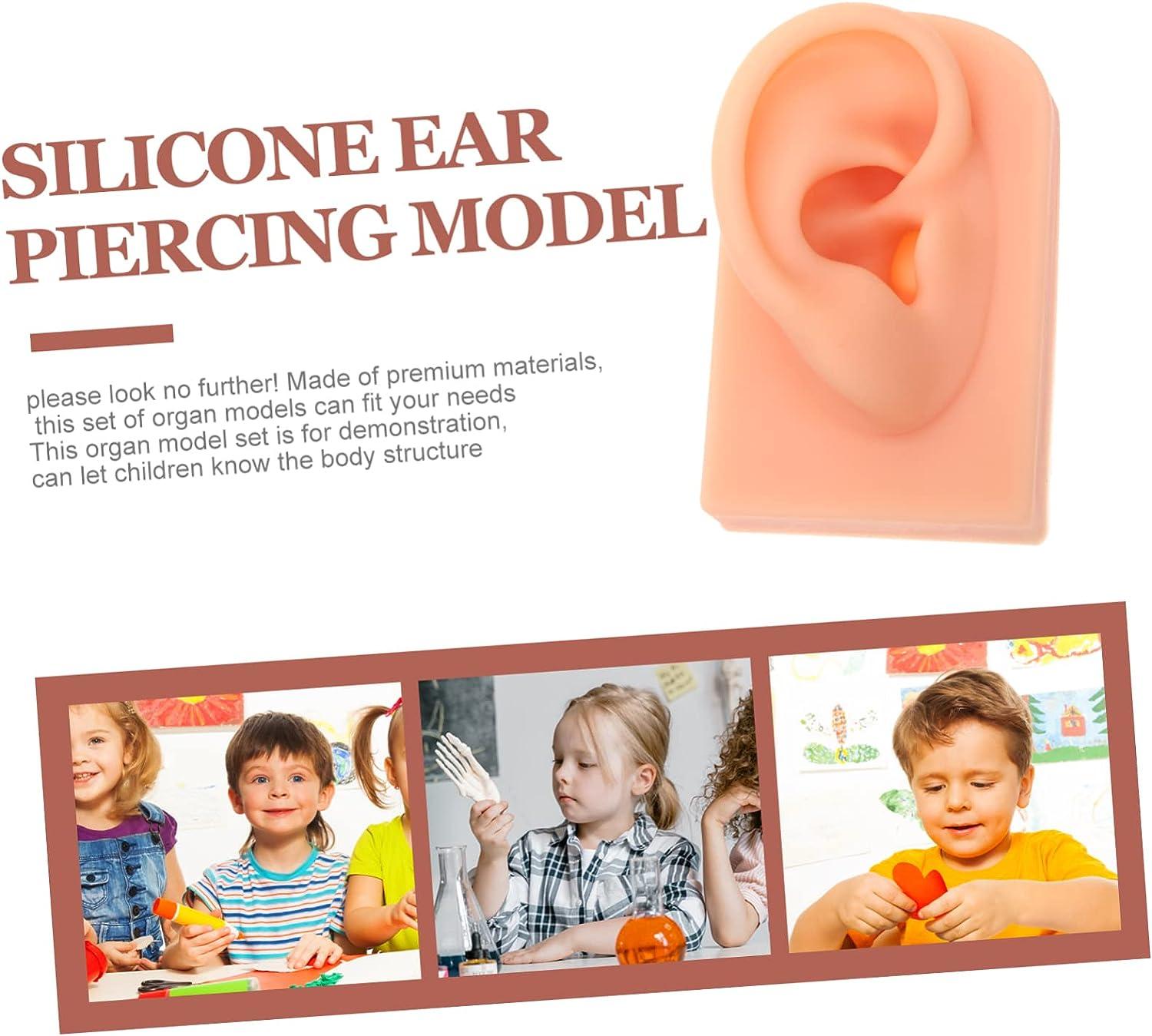 ULTECHNOVO Silicone Ear Model for Practice and Display - Khaki Silicone ...
