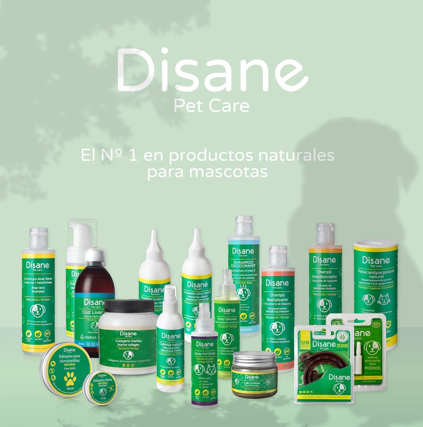 Disane Natural Anti-Parasite Pipettes for Cats | 2 Units for 2 Months ...