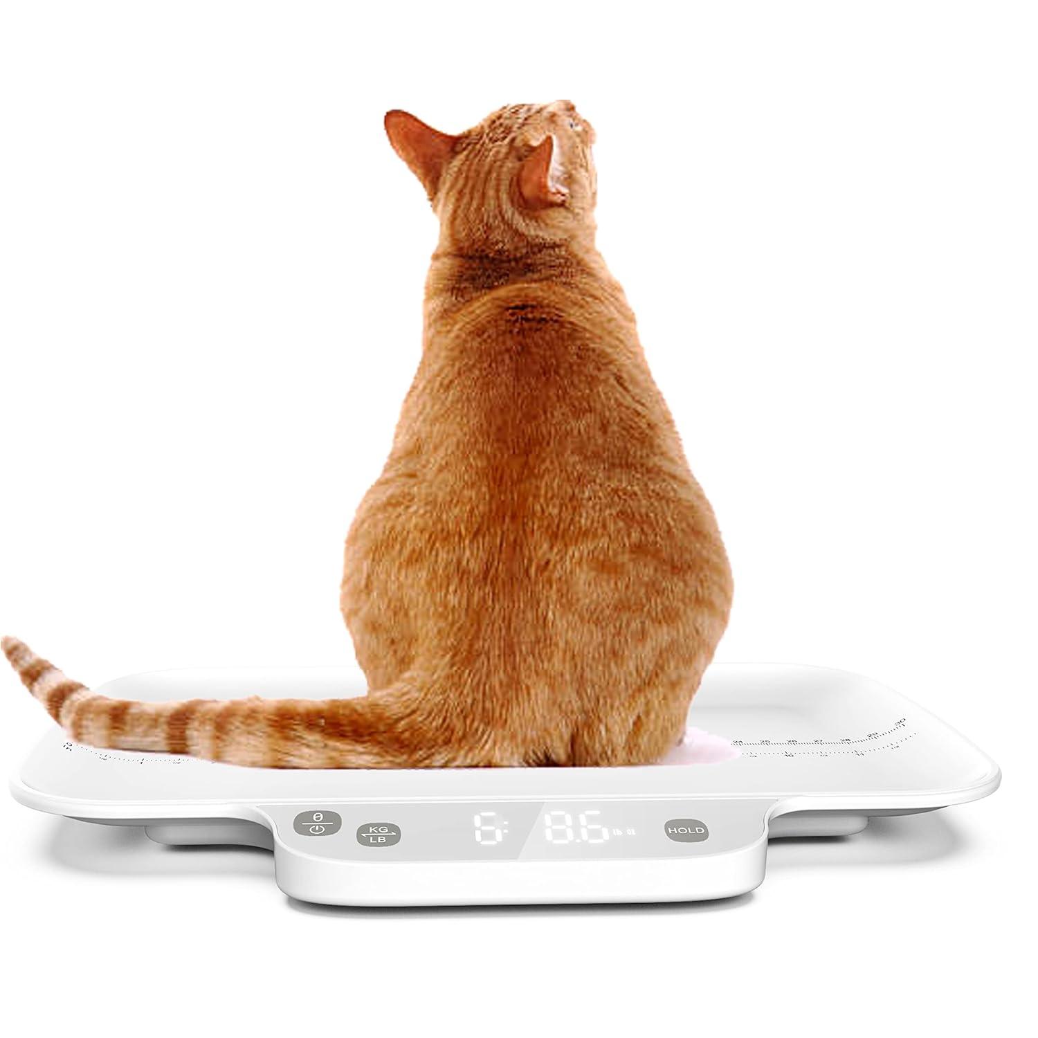 Digital Pets Baby Scales for Kitten and Puppy 15 kg ( 1 g) Digital ...