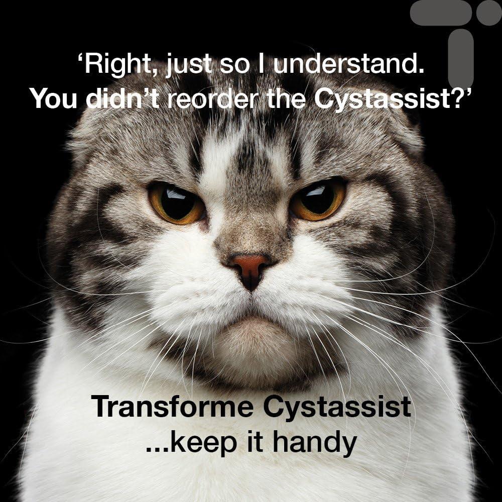 Transforme Cat Cystitis Care Feline Urinary Tract Food Supplement ...