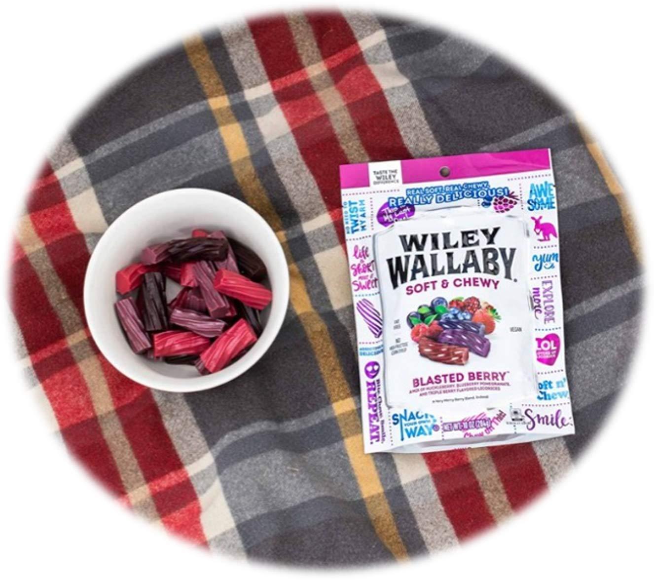 Wiley Wallaby Blasted Berry Licorice Candy Twists - 10 oz - Australian ...