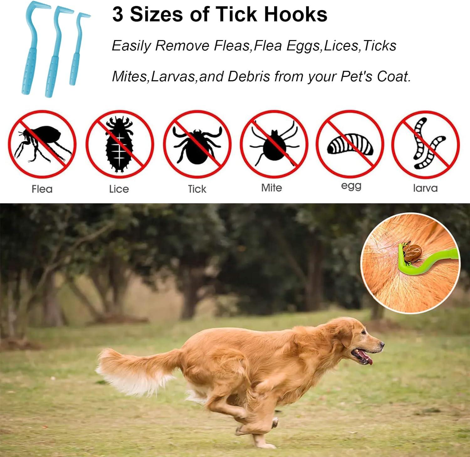 Izyfan Tick Hook Set - 3 Sizes for Quick Tick Removal | Safe for Dogs ...