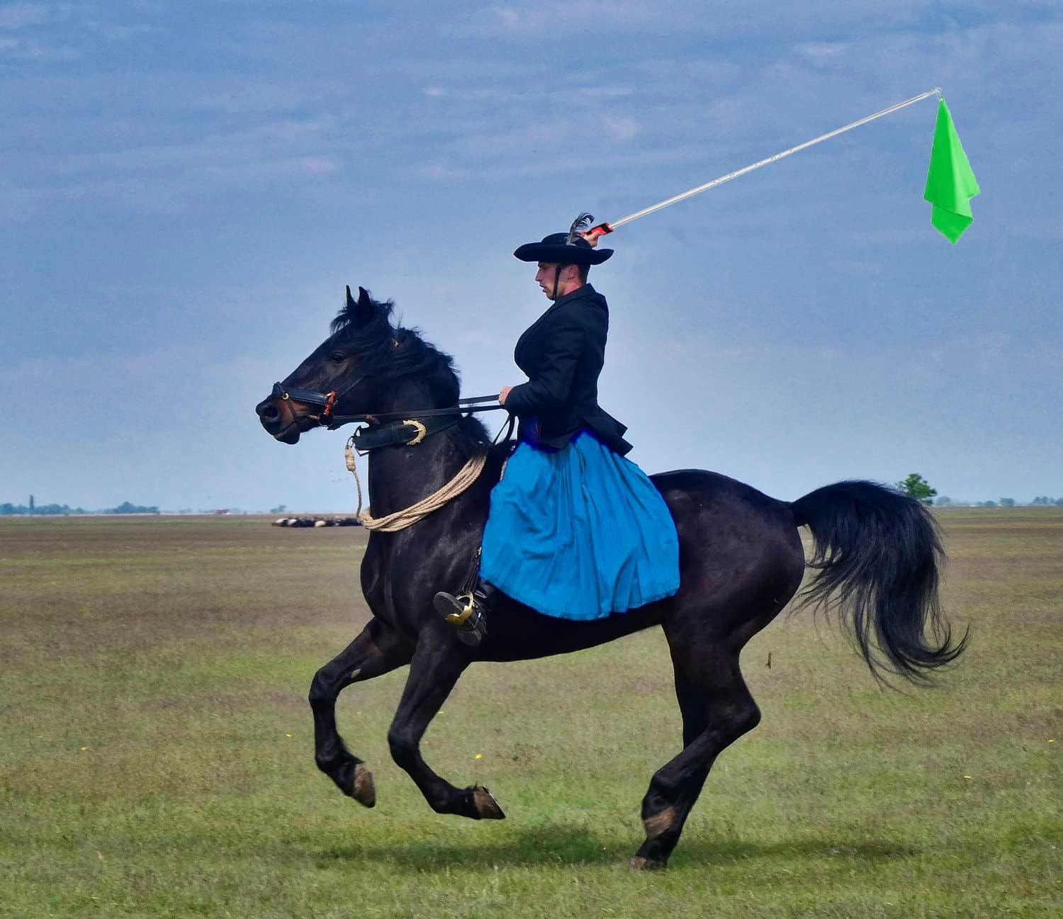 Horse Training Flag with Extendable Stainless Flagpole 5 Color ...