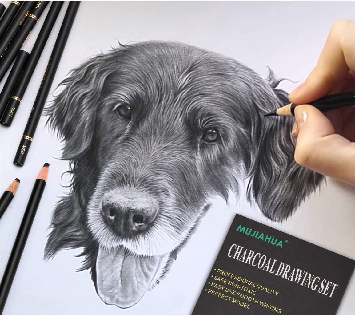MUJINHUA Professional Charcoal Pencils Drawing Set - 12 Piece Soft ...