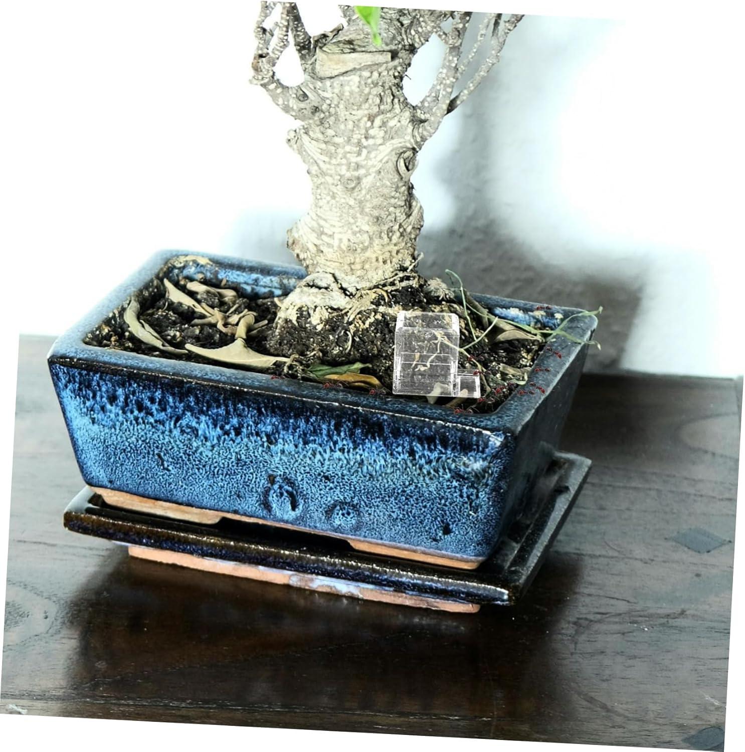 Kisangel Pet Water Feeder Insect Water Feeder Clear Ants Feeder Ants ...