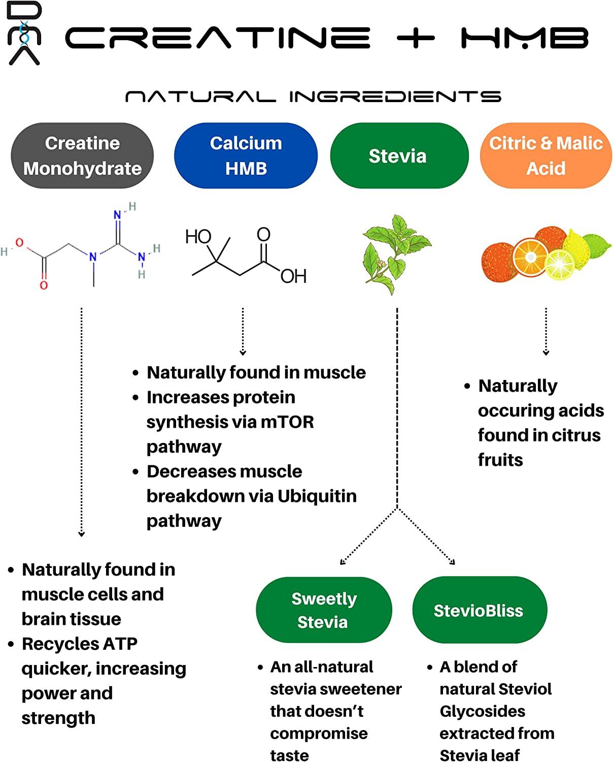 Creatine HMB - Discover Natural Athletics - DNA - Creatine + HMB for ...