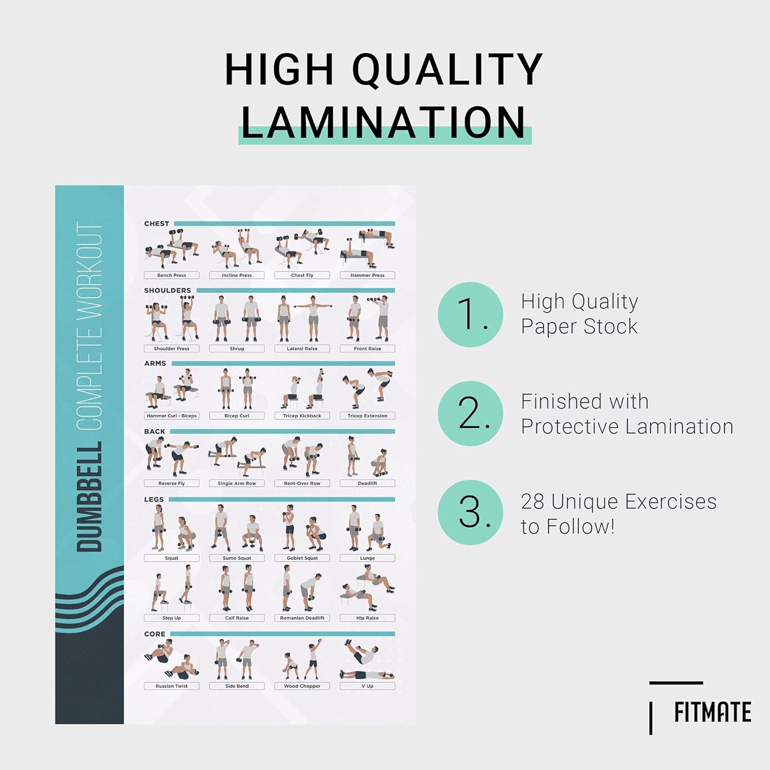Buy PosterMate FitMate Exercise Poster - Workout Routine with Weights ...