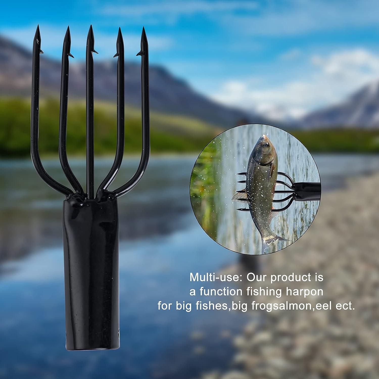 Goture Stainless Steel Fish Spear Barbed Tip for Frog and Fish - Style ...