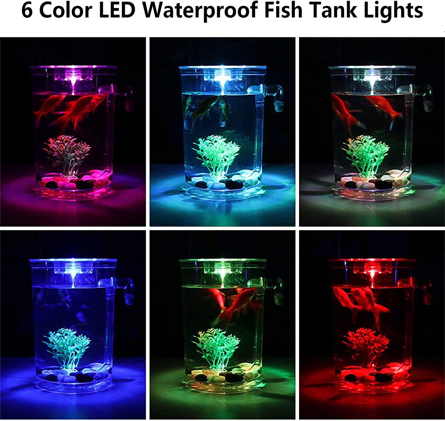 Betta Fish Tank 360 Aquarium with LED Light | 1 Gallon Self-Cleaning ...