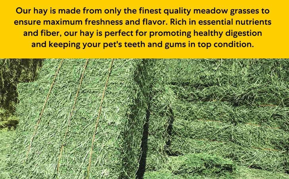 Shorefields Small Compact Meadow Hay Bagged 10kg | Buy Now with Express ...