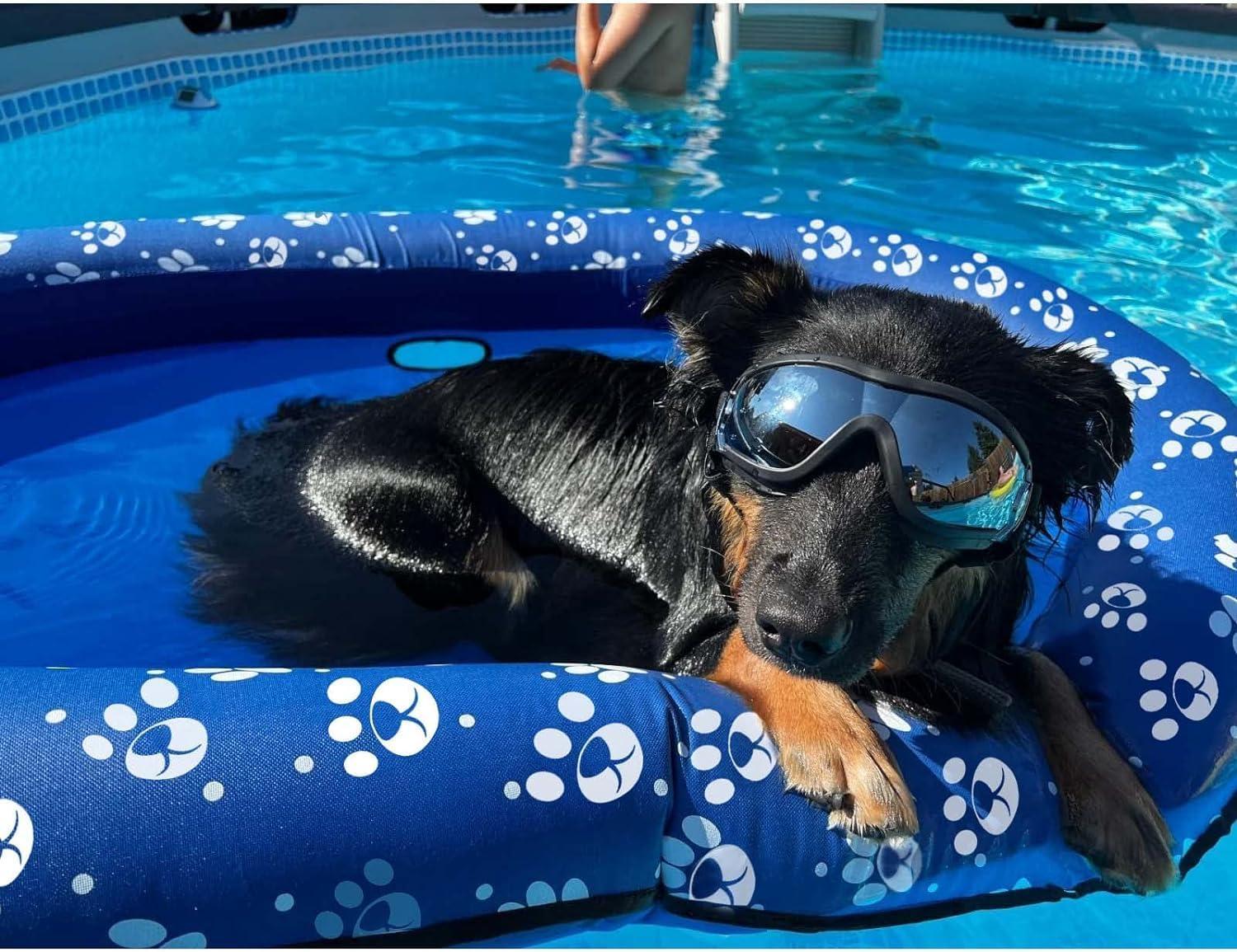 Buy Ginkago Inflatable Dinghy Dog Boat - Pet Air Mattress for Swimming ...