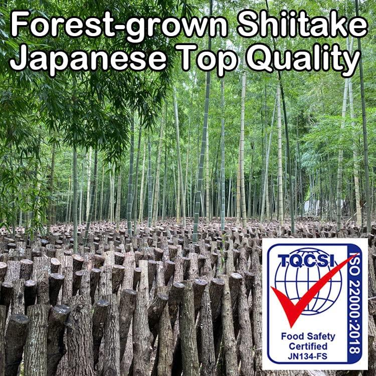 Forest-Grown Japanese Shiitake Powder 40g - Natural Umami Booster | Buy Now with Express ...