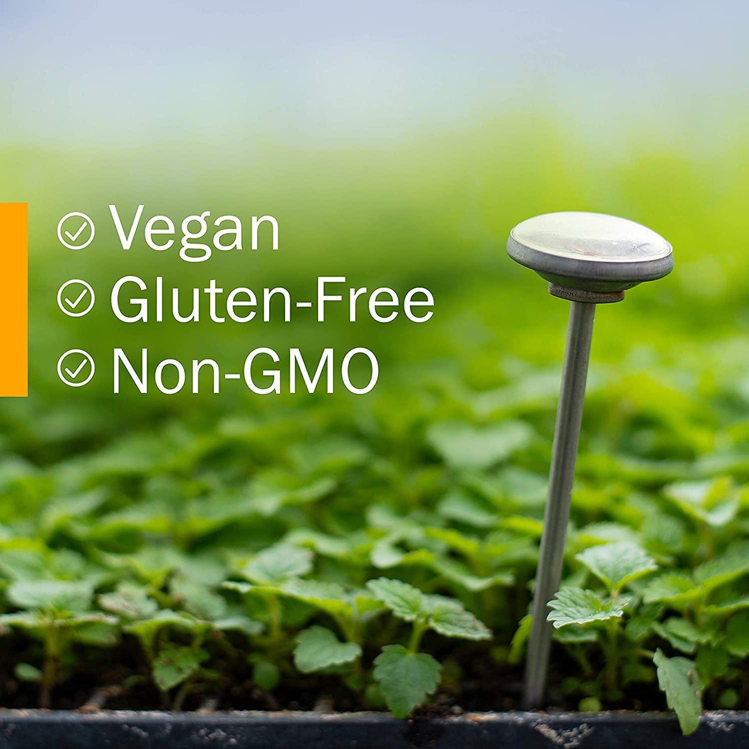 Herb Pharm Dong Quai Liquid Extract - Female Reproductive System Support - 1 Fl Oz | Buy Now ...