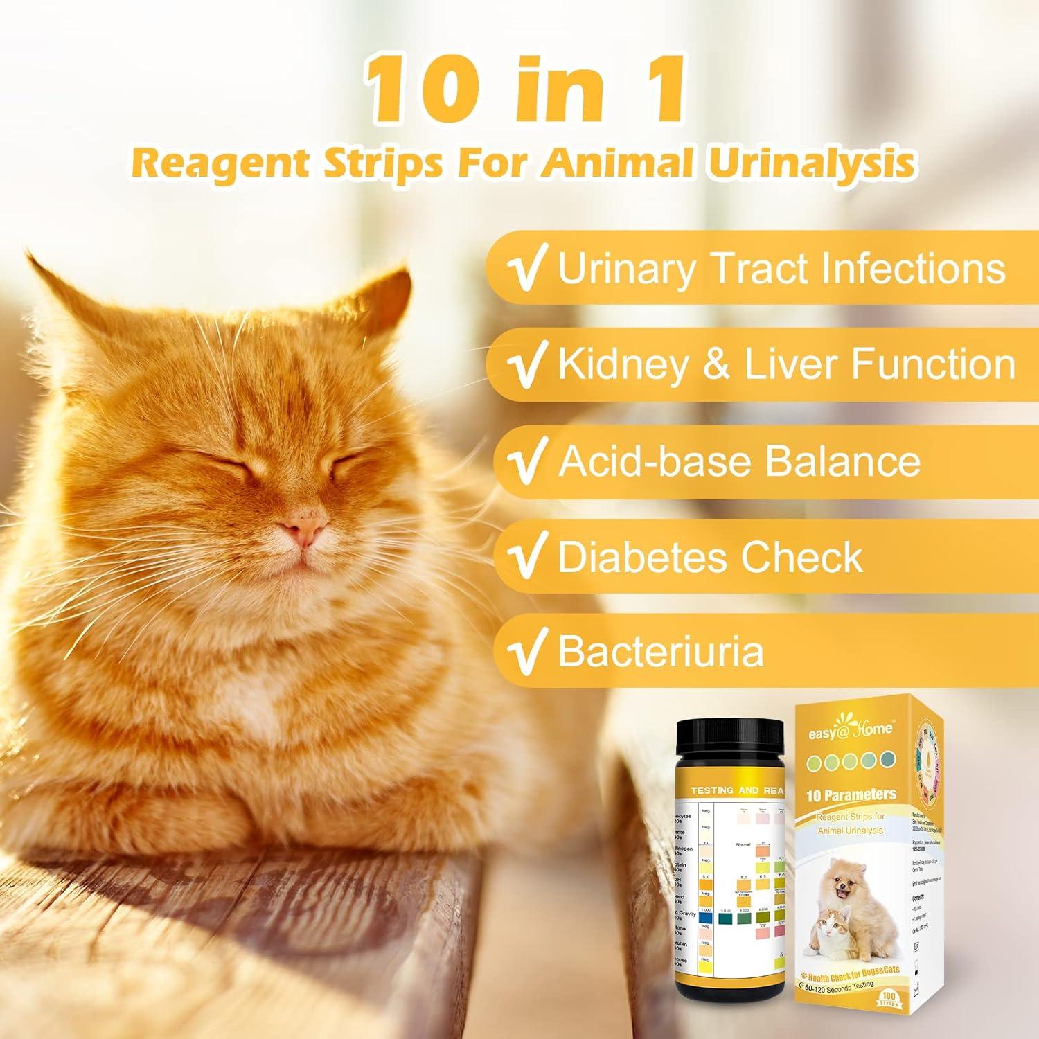 Easy Home Vet Pet Urine Test Strips 10 Parameters Animal Urinalysis ...
