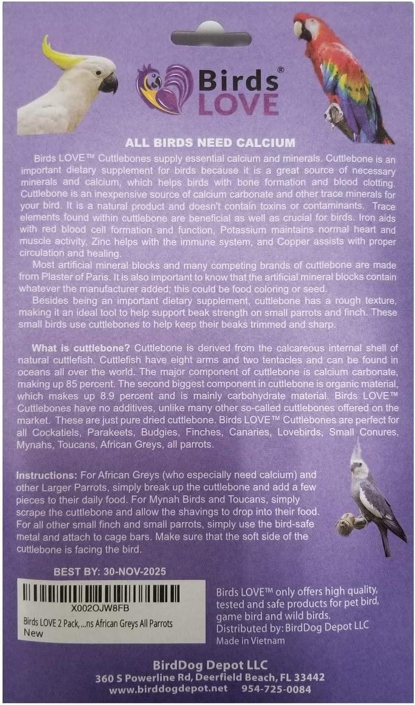 Cuttlebone for Birds, Tortoise, Snails & Parakeets - Pack of 2 Large 5. ...