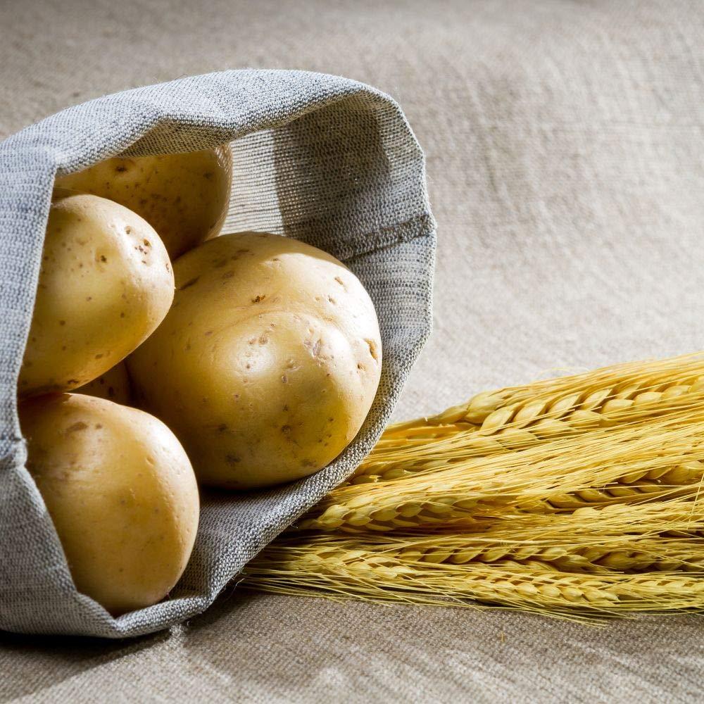 Pfanni Fried Potatoes 400g | Quick Preparation | Authentic 100% German ...