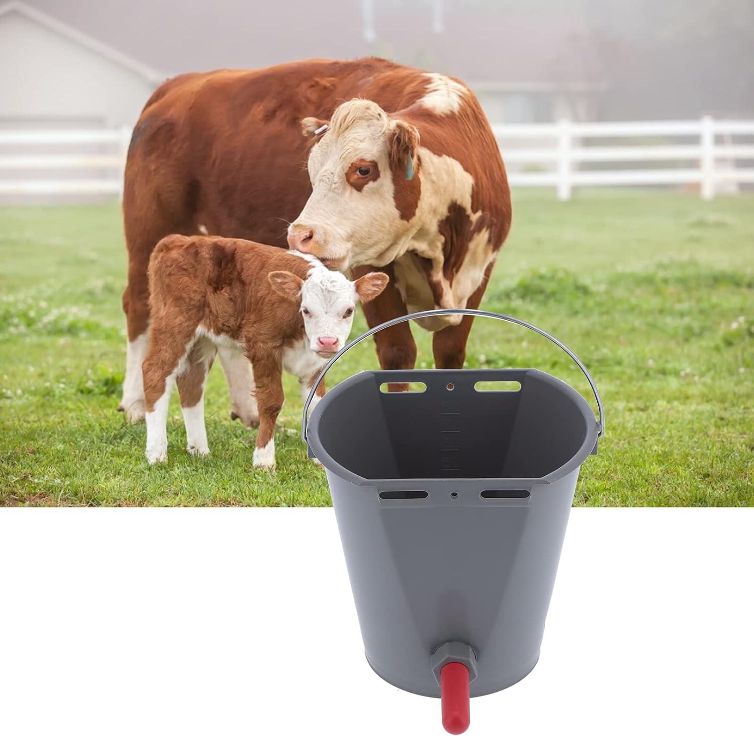 Nachukan 8L Milk Feed Bucket & Feeder Bucket - Plastic with Nipples ...
