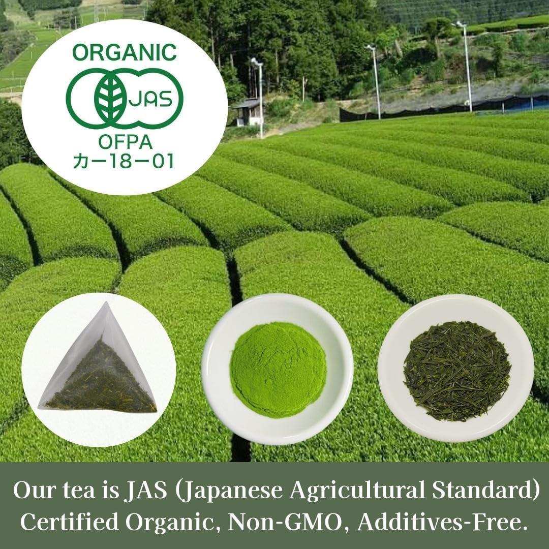 Matcha Infused Green Tea Bags 40 packs/80 g Biodegradable Filter ...