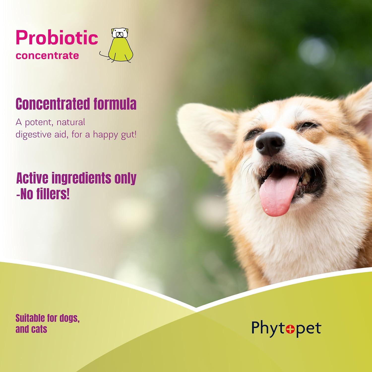 Phytopet Probiotic Concentrate | Vetanary supplement | Digestive Immune ...